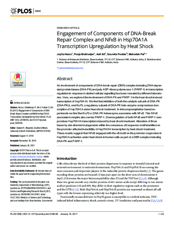 (PDF) Engagement of Components of DNA-Break Repair Complex and NFκB in ...