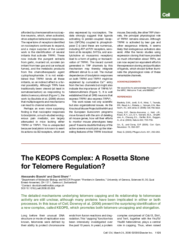 (PDF) The KEOPS Complex: A Rosetta Stone for Telomere Regulation?