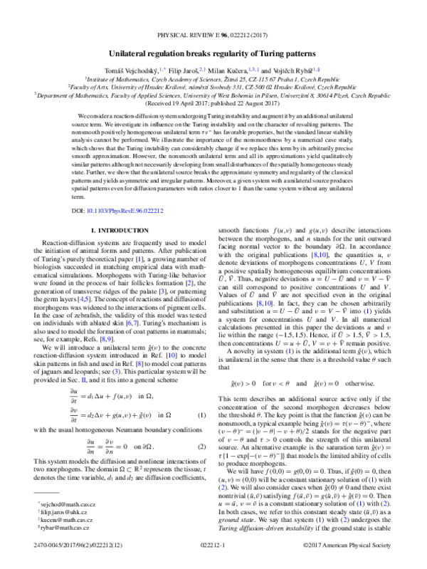 (PDF) Unilateral regulation breaks regularity of Turing patterns ...