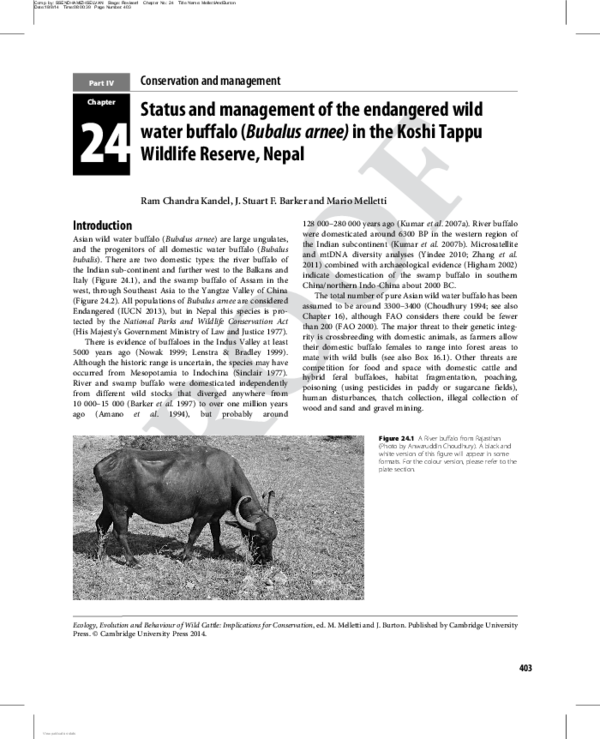 (PDF) Status and management of the endangered wild water buffalo ...