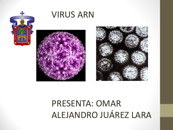 (PDF) VIRUS ARN GENERALIDADES