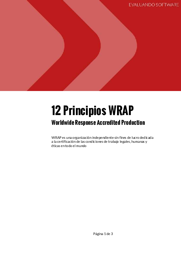 (PDF) 12 Principios WRAP