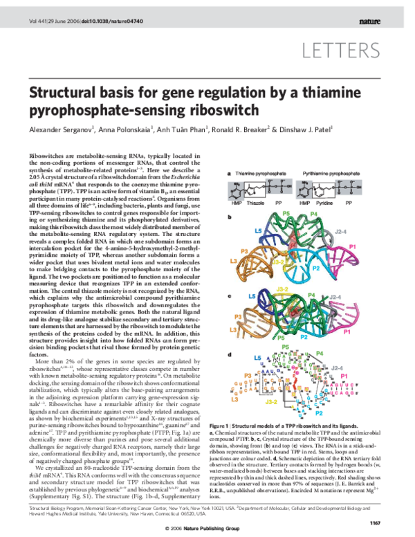(PDF) Structural basis for gene regulation by a thiamine pyrophosphate ...