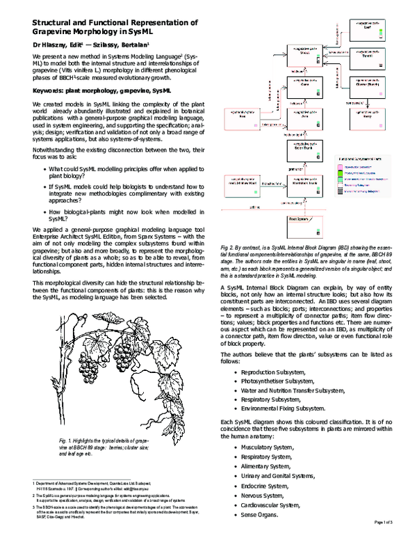 (PDF) Structural and Functional Representation of Grapevine Morphology ...