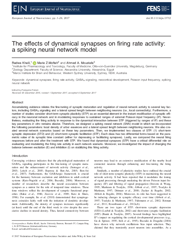 (PDF) The effects of dynamical synapses on firing rate activity: a spiking neural network model