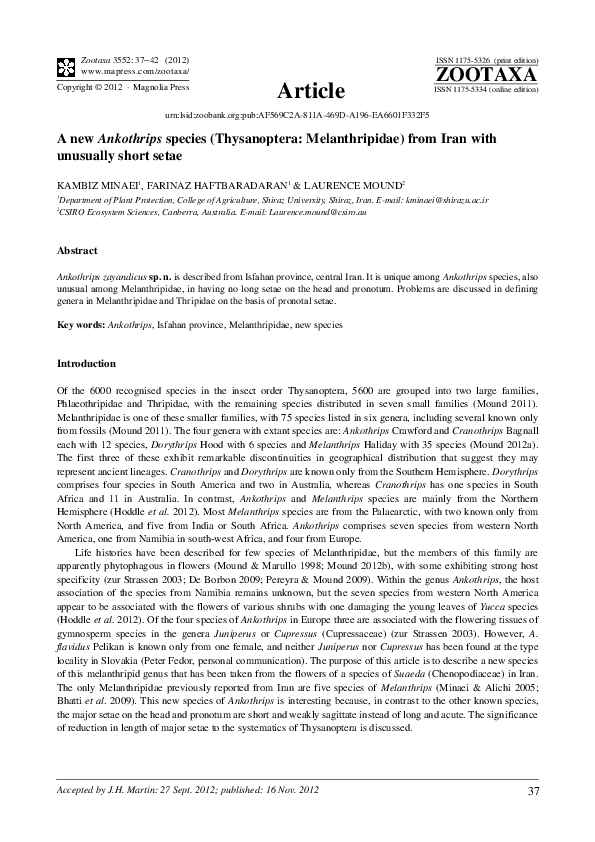 (PDF) Article A new Ankothrips species (Thysanoptera: Melanthripidae ...