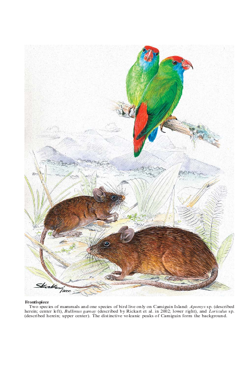 (PDF) Frontspiece: The Mammals and Birds of Camiguin Island ...