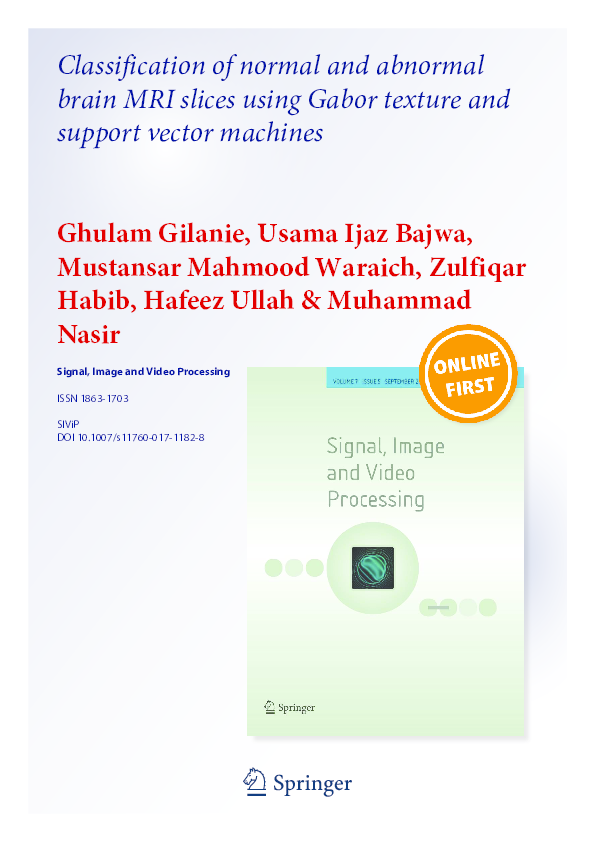(PDF) Signal, Image and Video Processing Classification of normal and abnormal brain MRI slices ...