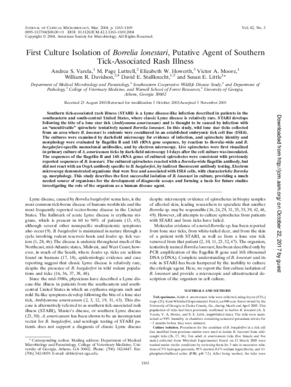 (PDF) First Culture Isolation of Borrelia lonestari, Putative Agent of ...