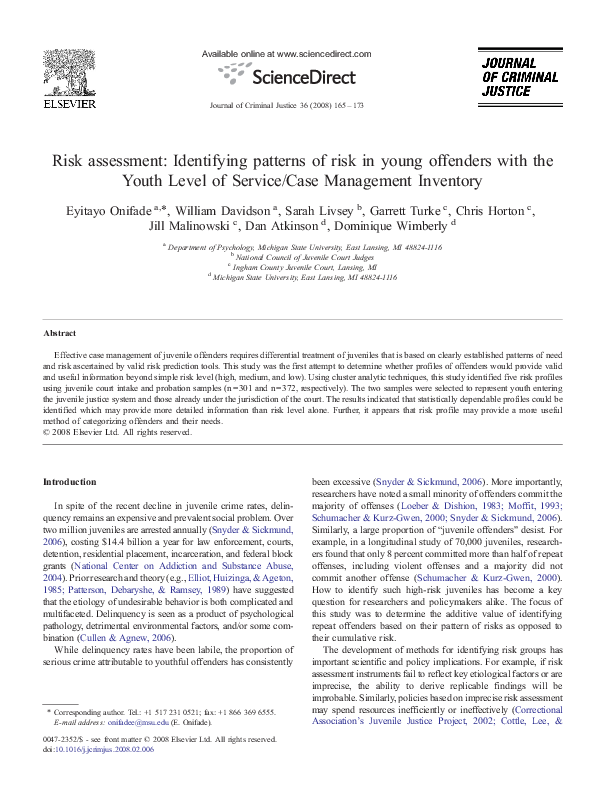 (PDF) Risk assessment: Identifying patterns of risk in young offenders ...