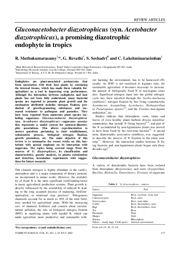 (PDF) Gluconacetobacter diazotrophicus (syn. Acetobacter diazotrophicus ...