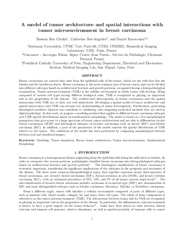 Pdf A Model Of Tumor Architecture And Spatial Interactions With Tumor Microenvironment In
