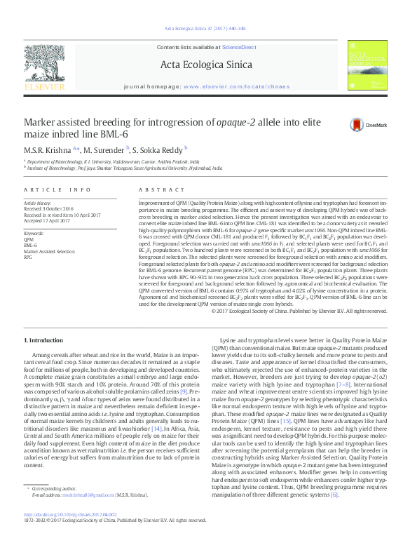 (PDF) Marker assisted breeding for introgression of opaque-2 allele ...