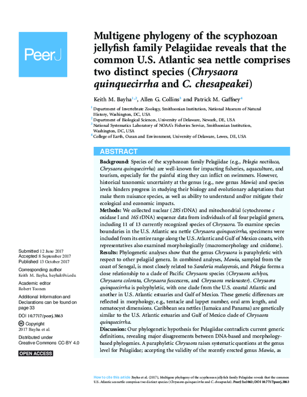 (PDF) Multigene Phylogeny of the scyphozoan jellyfish family Pelagiidae ...