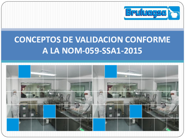(PPT) VALIDACION NOM 059 2015.pptx