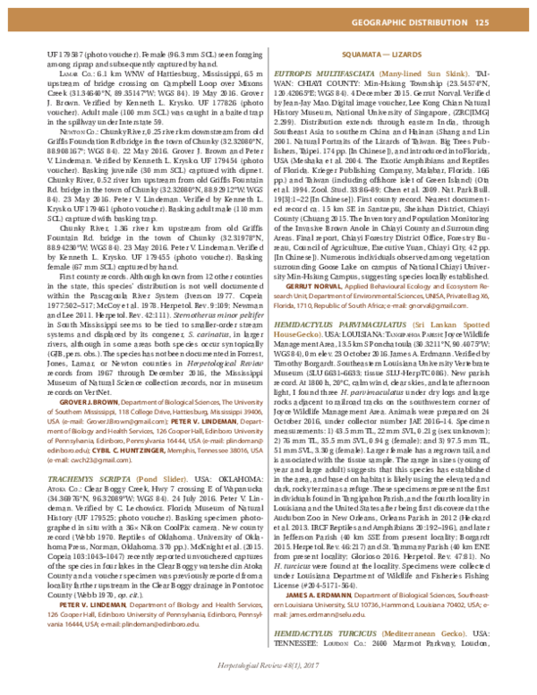 (PDF) HEMIDACTYLUS PARVIMACULATUS (Sri Lankan Spotted House Gecko ...