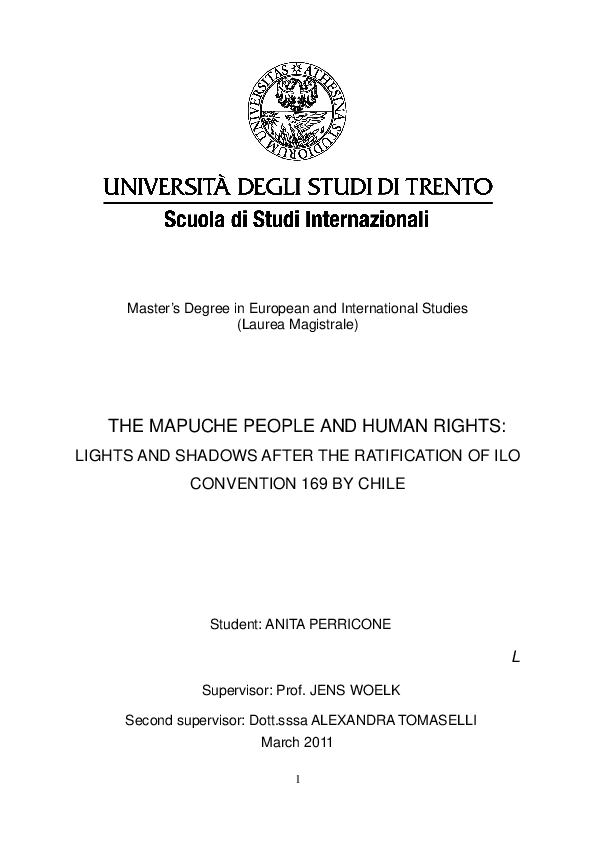 (PDF) The Mapuche People and Human Rights: Lights and Shadows after the ...