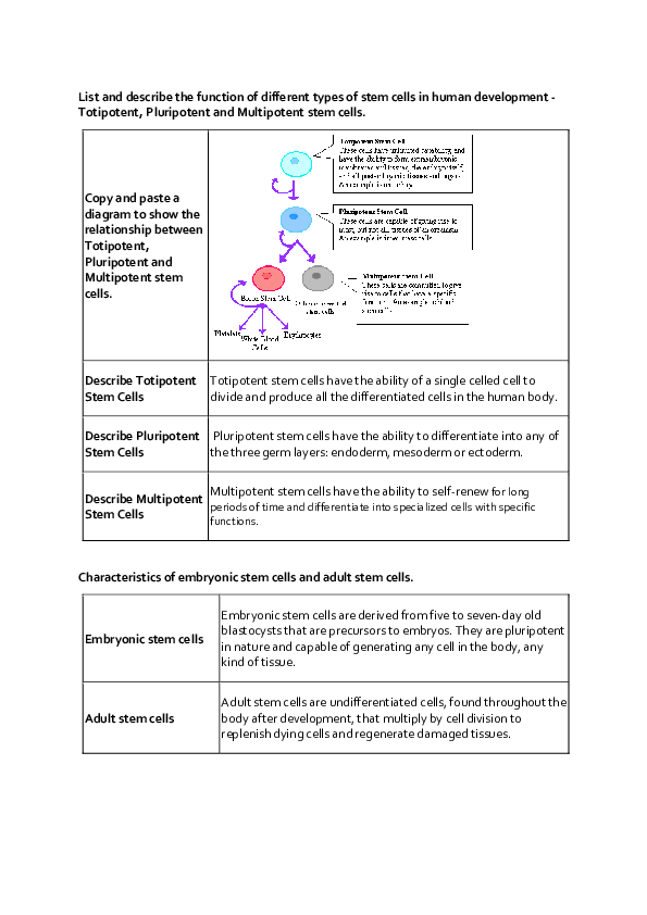 (DOC) Stem cells summary notes
