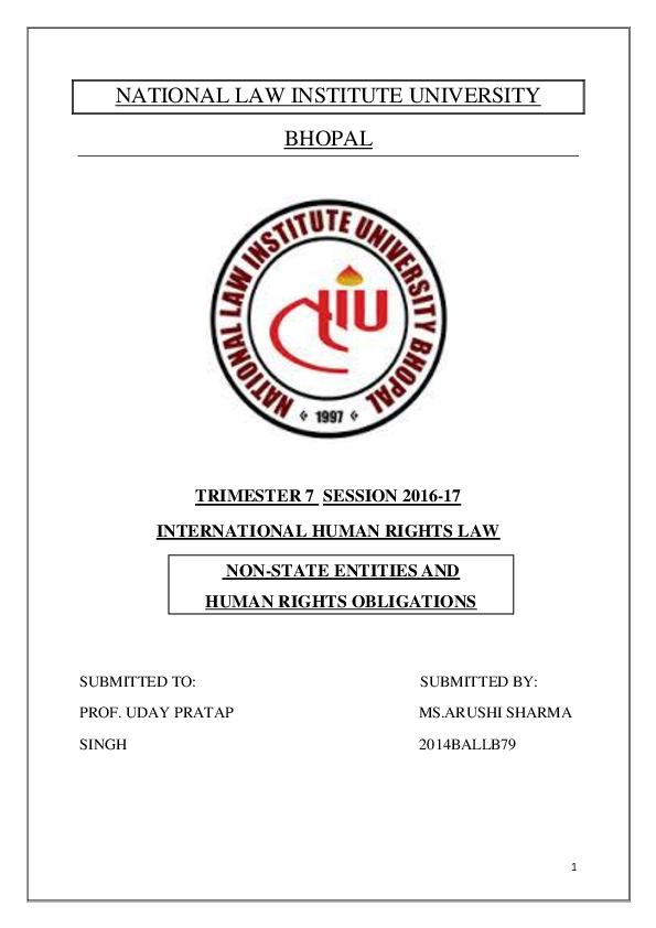 (DOC) NON-STATE ENTITIES AND HUMAN RIGHTS OBLIGATIONS ACKNOWLEDGEMENTS