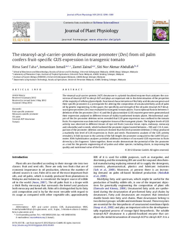 (PDF) The stearoyl-acyl-carrier-protein desaturase promoter (Des) from ...