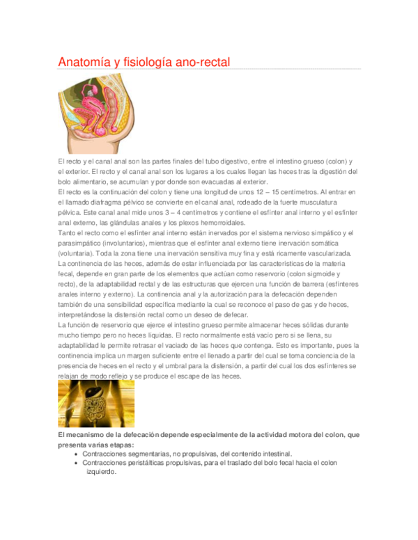 (DOC) AnAtoMíA dEl rEcto