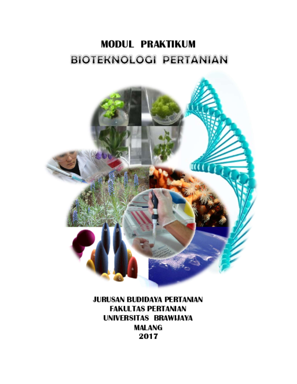 (PDF) MODUL PRAKTIKUM