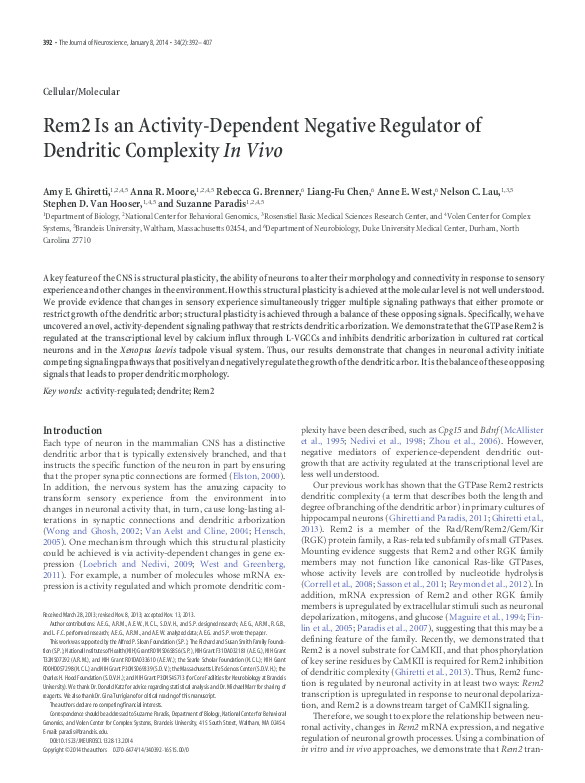 (PDF) Rem2 Is an Activity-Dependent Negative Regulator of Dendritic ...