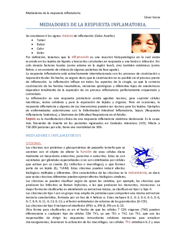 Doc Mediadores De La Respuesta Inflamatoria 9546