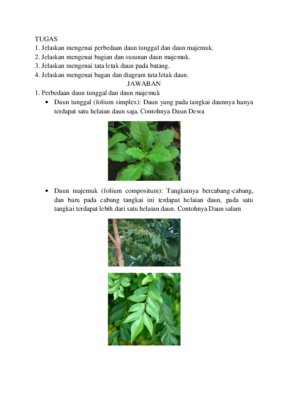 (DOC) TUGAS LMS DAUN 2