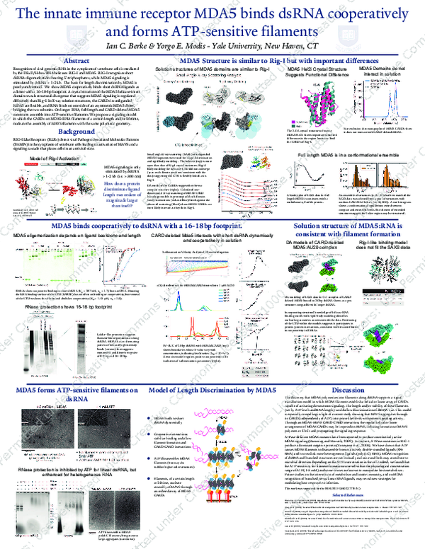 (PDF) The innate immune receptor MDA5 binds dsRNA cooperatively and ...