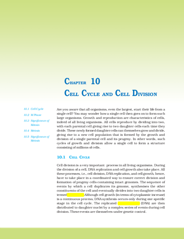 (PDF) cell cycle.pdf