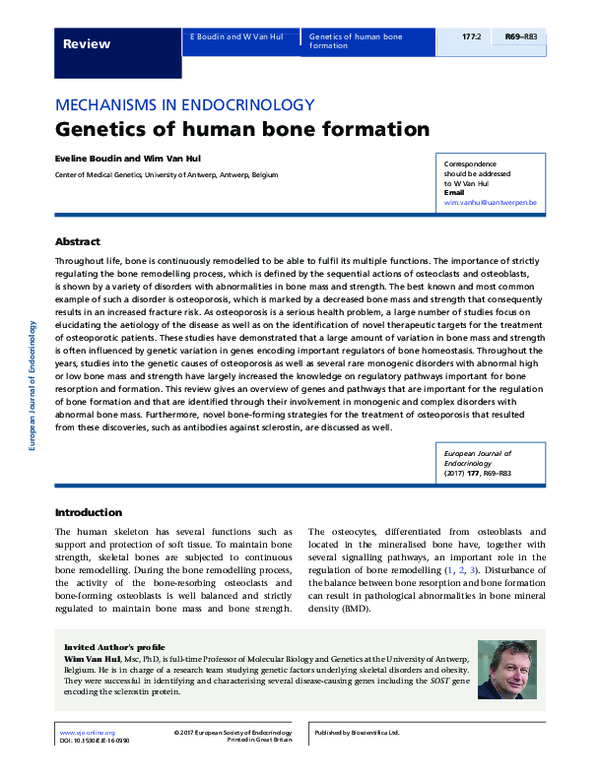 (PDF) Genetics of human bone formation Review
