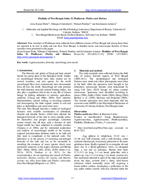 (PDF) Phallales of West Bengal, India. II. Phallaceae: Phallus and Mutinus