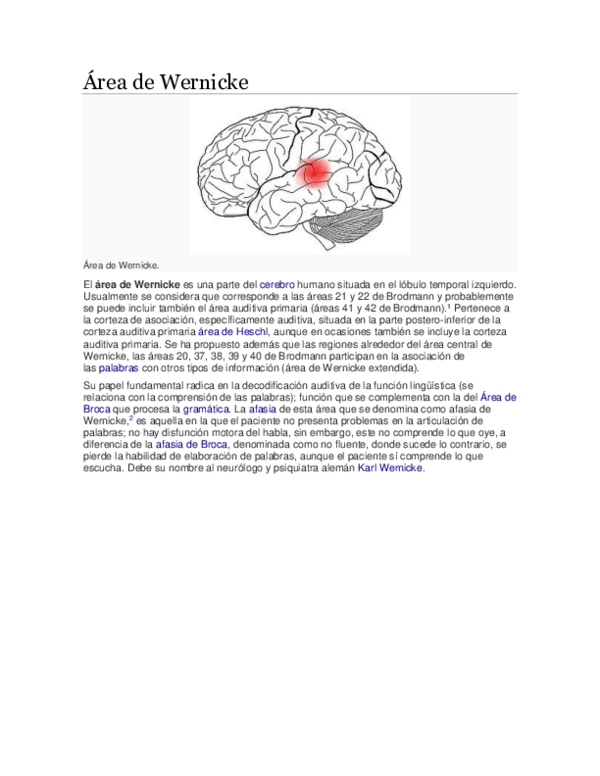 (DOC) Área de Wernicke
