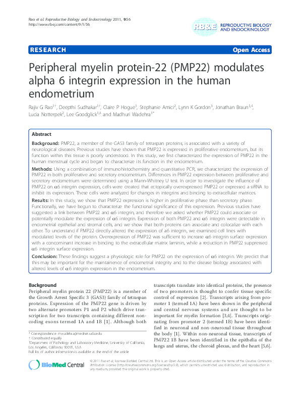 (PDF) Peripheral myelin protein-22 (PMP22) modulates alpha 6 integrin ...