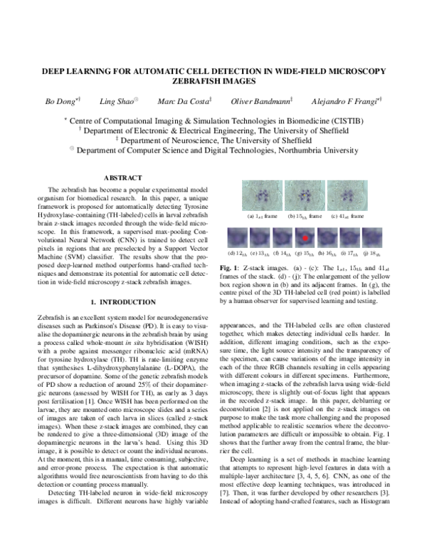 (PDF) Deep learning for automatic cell detection in wide-field ...