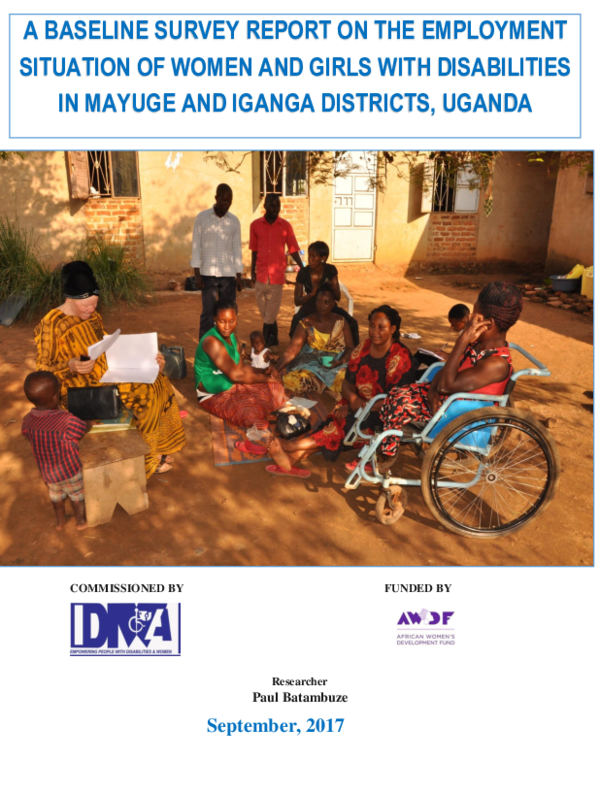 (DOC) IDIWA AWDF Baseline Survey Final Report, 2017.docx