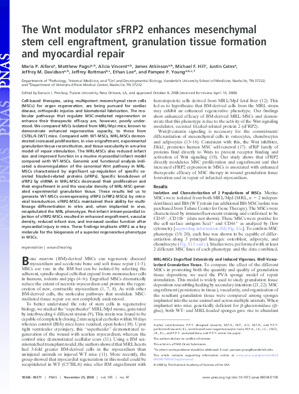 (PDF) The Wnt modulator sFRP2 enhances mesenchymal stem cell ...