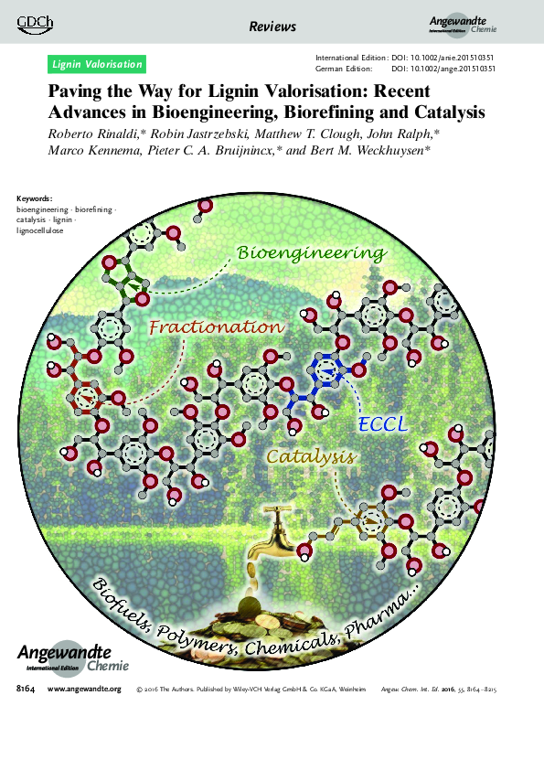 (PDF) Lignin Valorisation Paving the Way for Lignin Valorisation: Recent Advances in ...