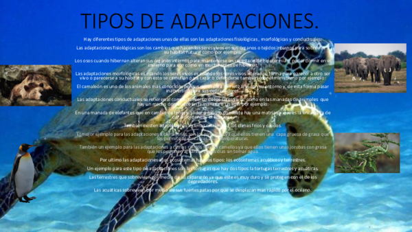 (PPT) TIPOS DE ADAPTACIONES
