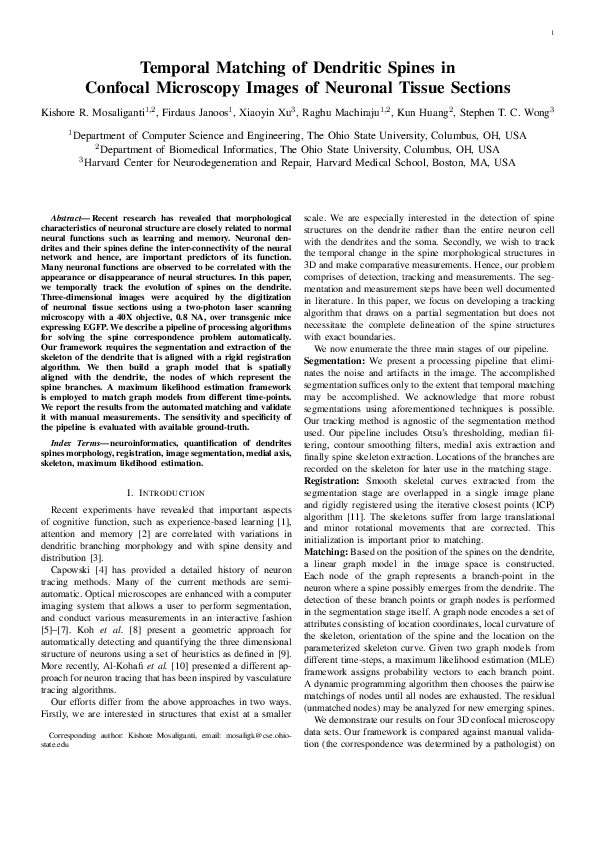Temporal Matching of Dendritic Spines in Confocal Microscopy Images of ...
