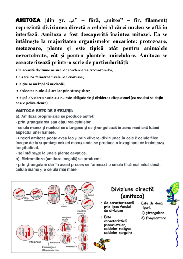 (DOC) Biologie.(1)
