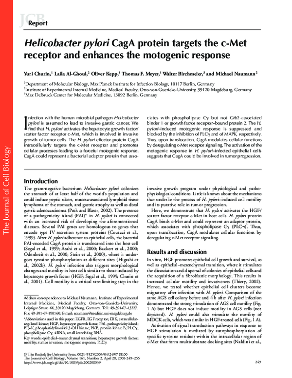 (PDF) Helicobacter pylori CagA protein targets the c-Met receptor and ...