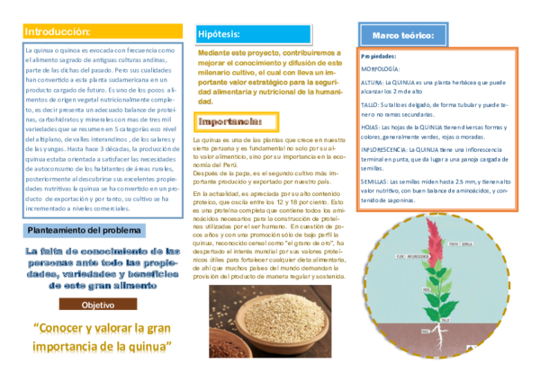 (PDF) Triptico quinua 1 (1)