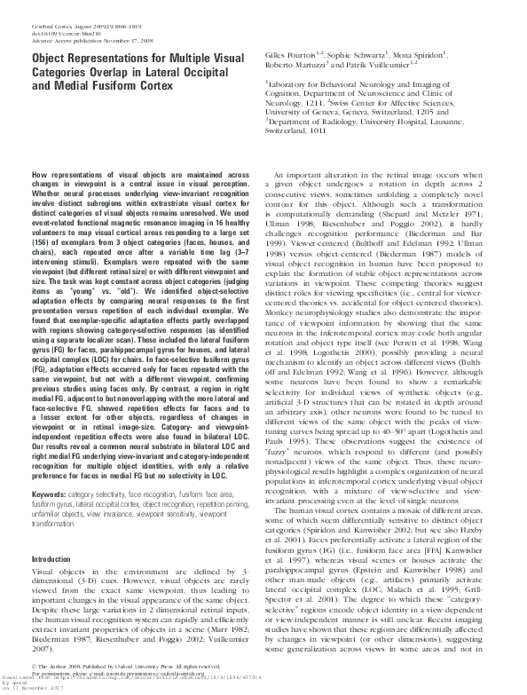 (PDF) Object Representations for Multiple Visual Categories Overlap in ...