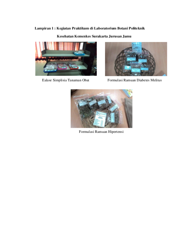 (DOC) Lampiran 1 : Kegiatan Praktikum di Laboratorium Botani Politeknik ...