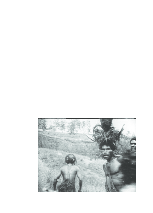 (PDF) História(s) do contato: Trilogia das Terras Altas (1983-1992) e ...