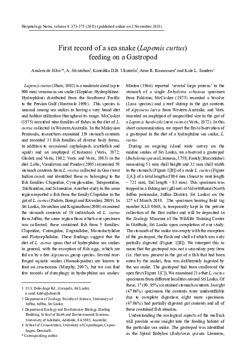 (PDF) First record of a sea snake (Lapemis curtus) feeding on a Gastropod