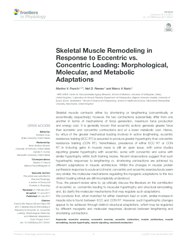 (PDF) Skeletal Muscle Remodeling in Response to Eccentric vs ...