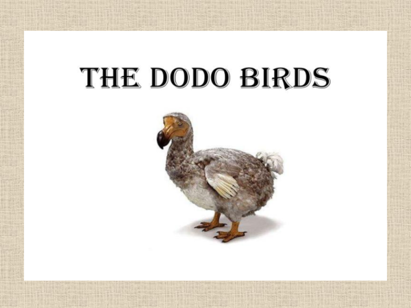 (PPT) DODO PPT